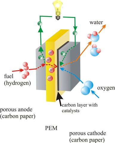 eleticfication timeline | Timetoast timelines
