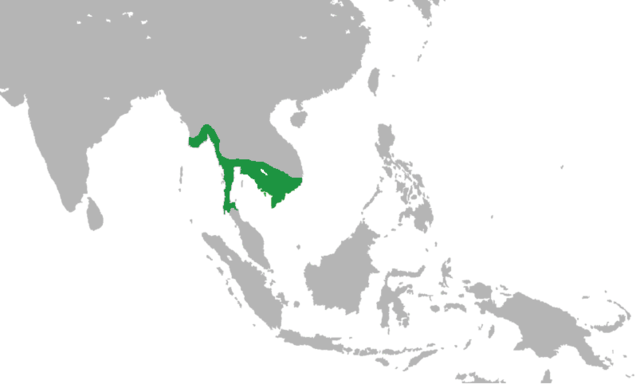 Khmer Empire timeline | Timetoast timelines