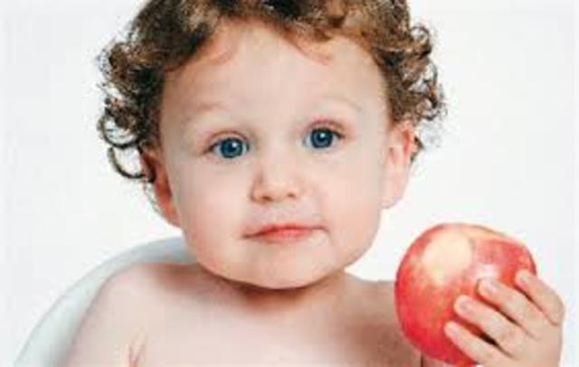 Etapa embrionaria y fetal timeline | Timetoast timelines