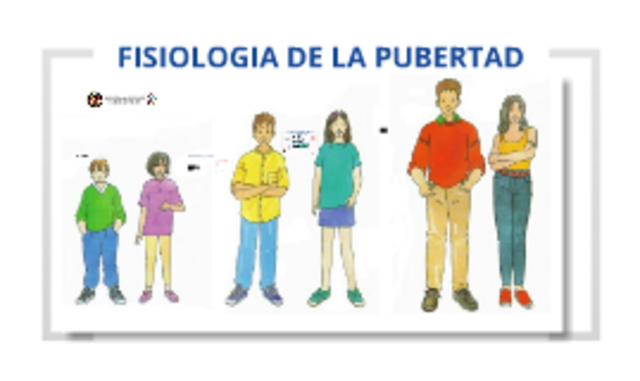 Ciclo vital del ser humano timeline | Timetoast timelines