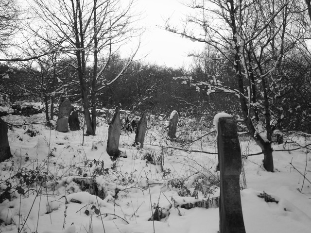 The Book Thief timeline | Timetoast timelines