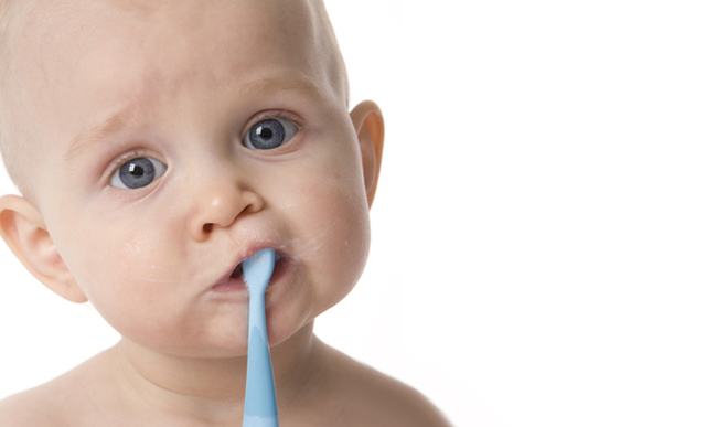 Ciclo Vital Humano timeline | Timetoast timelines