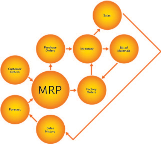 MRP's evolución timeline | Timetoast timelines