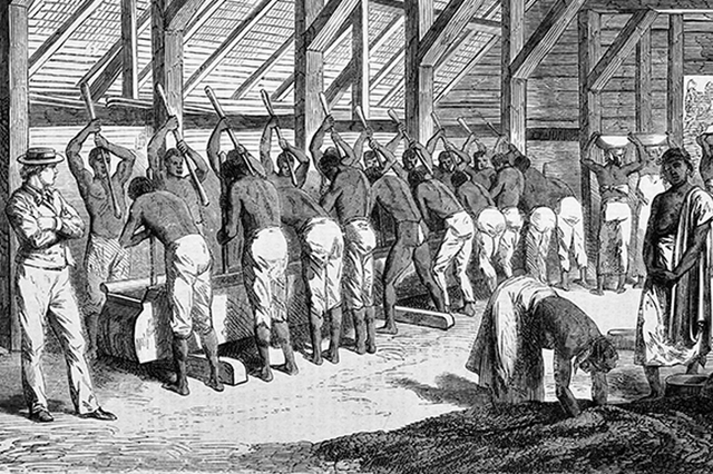 The History of Slaves in America timeline | Timetoast timelines
