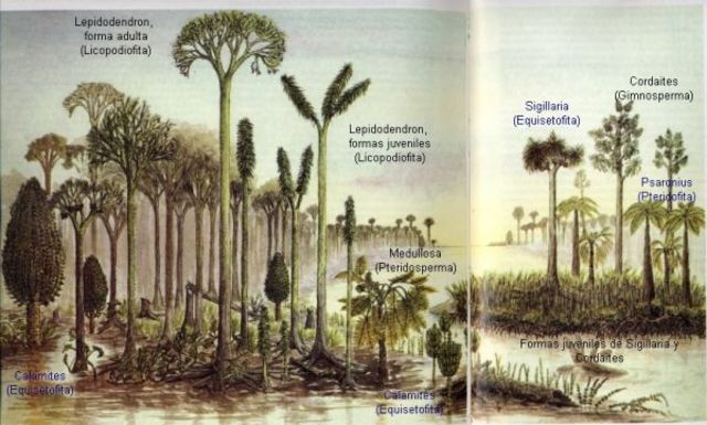 La Historia de la Tierra (Alison Molina) timeline | Timetoast timelines