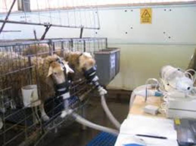 The Revolution Of Animal Testing timeline | Timetoast timelines