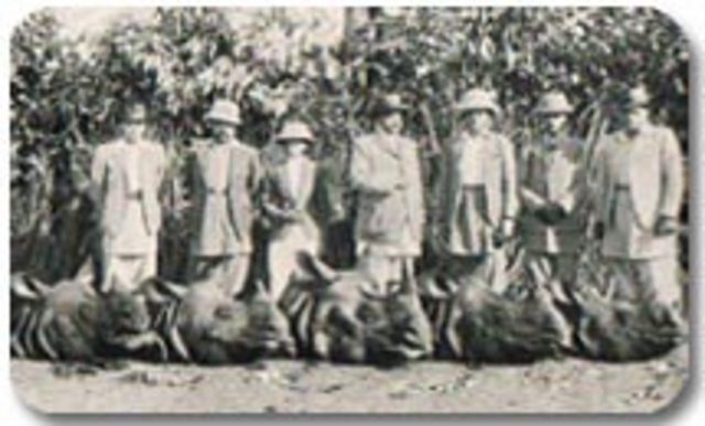 Nepal Timeline | Timetoast timelines