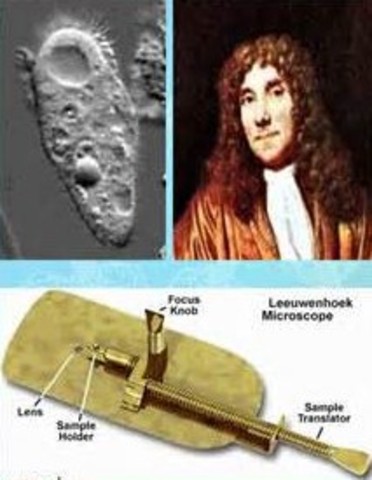Anton Van Leeuwenhoek Scientists That Changed The World