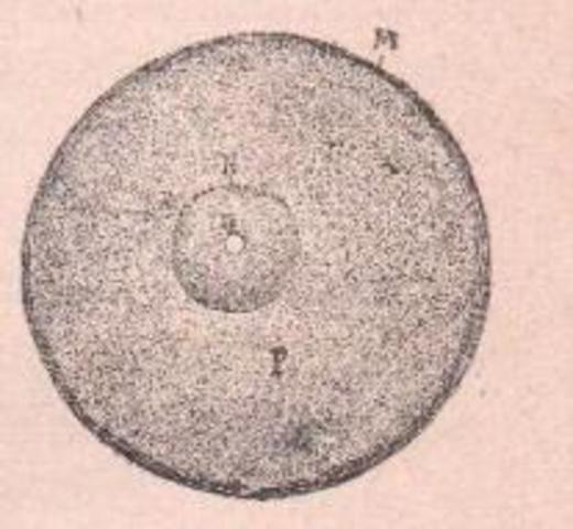 The Advancement of Cell Theory Throughout History timeline | Timetoast ...