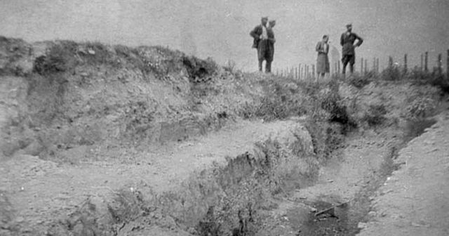 Maus Project timeline | Timetoast timelines