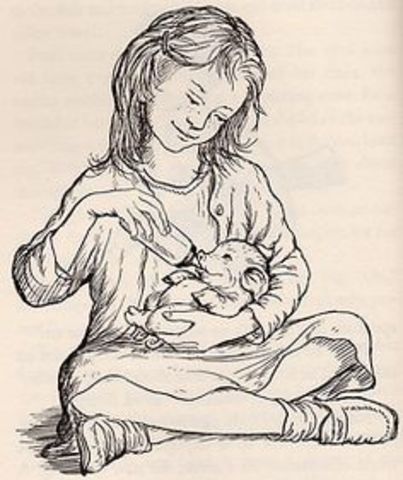 Charlotte's Web Timeline | Timetoast timelines