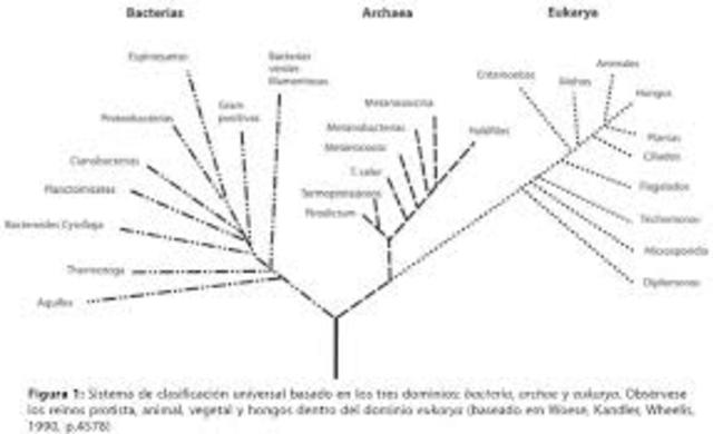 Aportes cientificos a la microbiologia timeline | Timetoast timelines