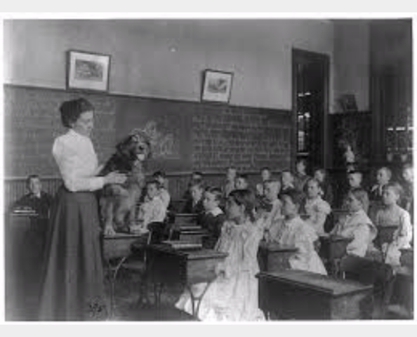 History of education project timeline | Timetoast timelines