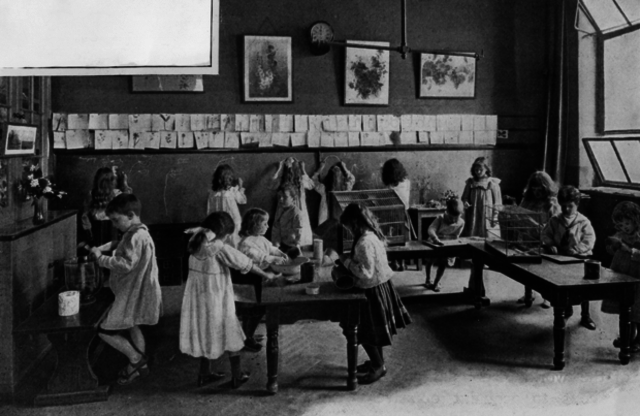 History of Education timeline | Timetoast timelines