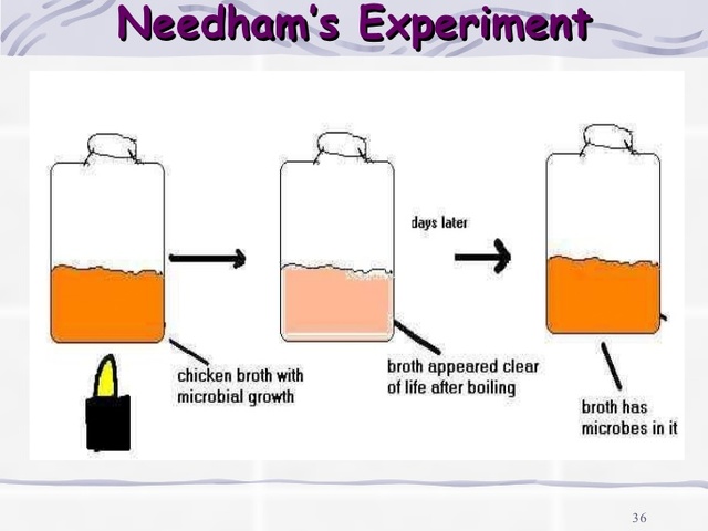 History of Spontaneous Generation timeline | Timetoast timelines