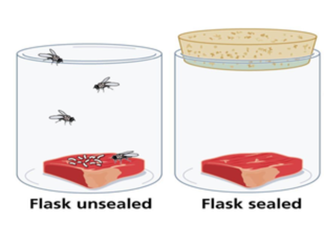Spontaneous Generation timeline | Timetoast timelines