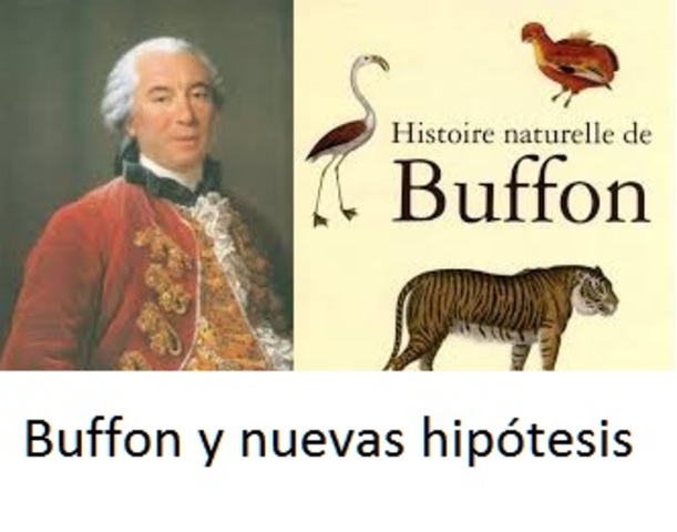 Las teorías de la evolución y sus autores timeline | Timetoast timelines