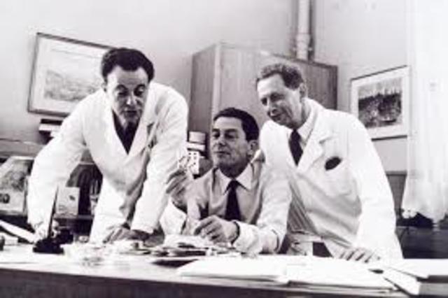 Historia de la Microbiologia timeline | Timetoast timelines