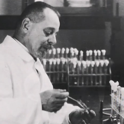 LINEA DE TIEMPO DE MICROBILOGIA timeline | Timetoast timelines