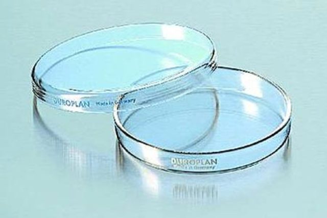 Historia de la Microbiologia timeline | Timetoast timelines