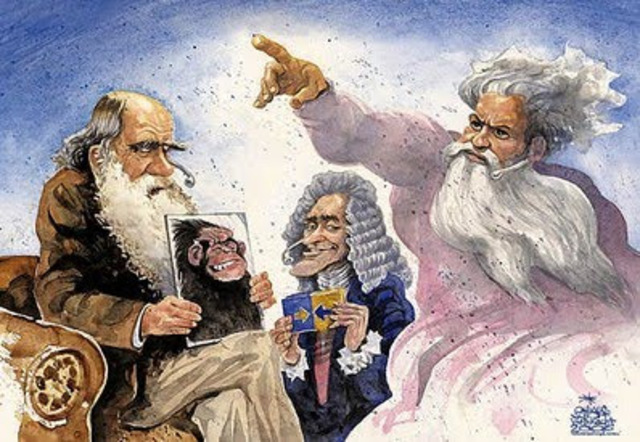 La evolución timeline | Timetoast timelines