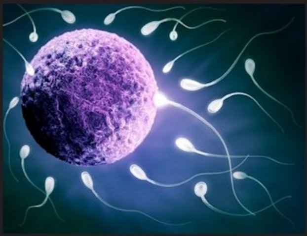 40 Eventos de la biologia timeline | Timetoast timelines