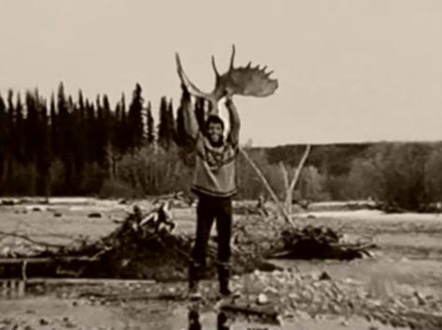 Into the Wild timeline | Timetoast timelines