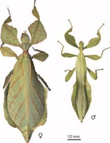 Geologic History Compressed into 1 Calendar Year timeline | Timetoast ...