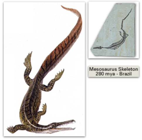 Geologic History Compressed into 1 Calendar Year timeline | Timetoast ...