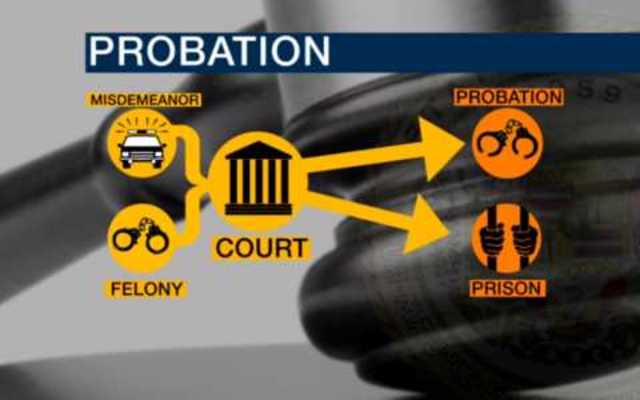 Evolution of the Training Profession timeline | Timetoast timelines