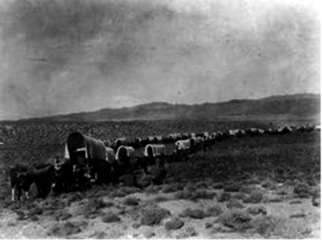 Transcendentalism timeline | Timetoast timelines