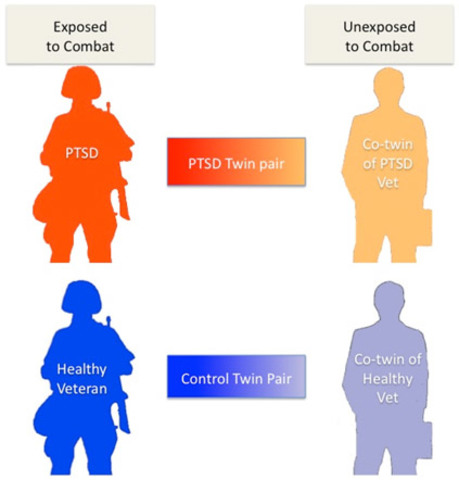 PTSD, treatment and sociological view over time timeline | Timetoast ...