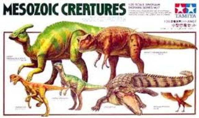 Evolution Timeline | Timetoast timelines