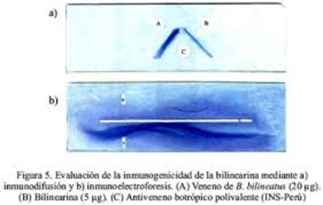 HISTORIA DE LA INMUNOLOGIA timeline | Timetoast timelines
