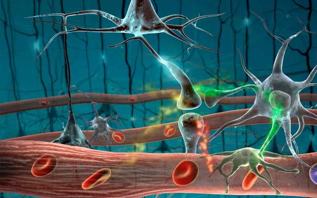 HISTORIA DE LA INMUNOLOGÍA timeline | Timetoast timelines