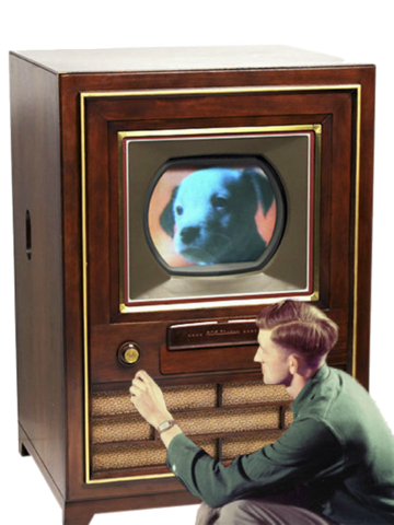 Evolución de la Televisión timeline | Timetoast timelines