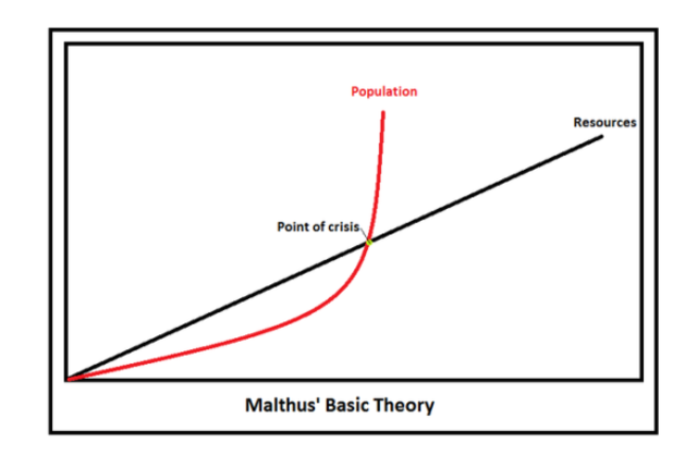 The Evolution of Evolution timeline | Timetoast timelines