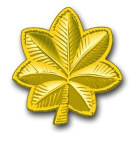 army rank structure timeline | Timetoast timelines