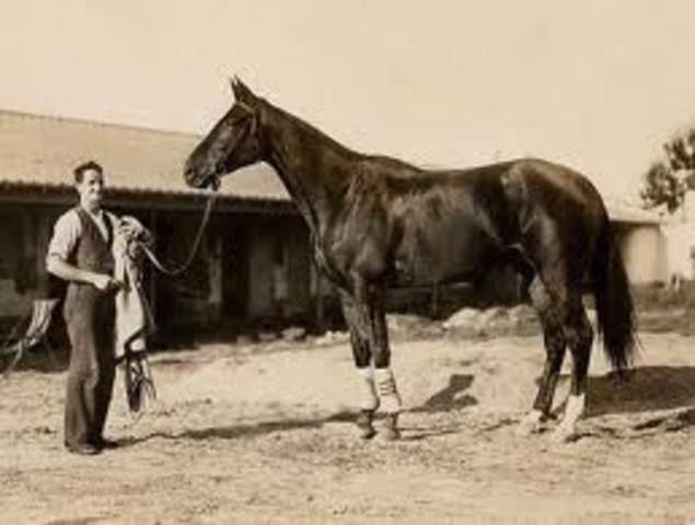 Phar Lap timeline | Timetoast timelines