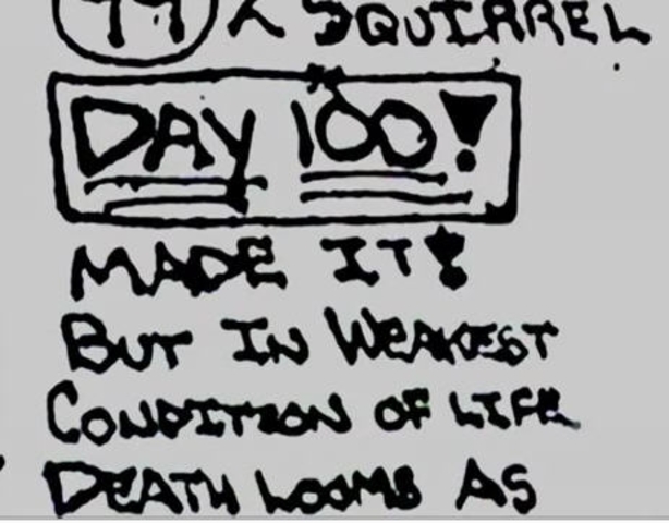 Christopher McCandless's Great Adventure timeline | Timetoast timelines