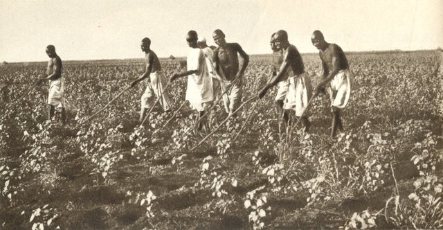 Historic Moments for Black Americans timeline | Timetoast timelines