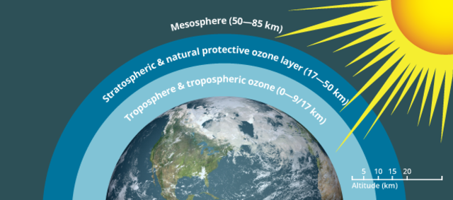 Short History of Nearly Everything timeline | Timetoast timelines