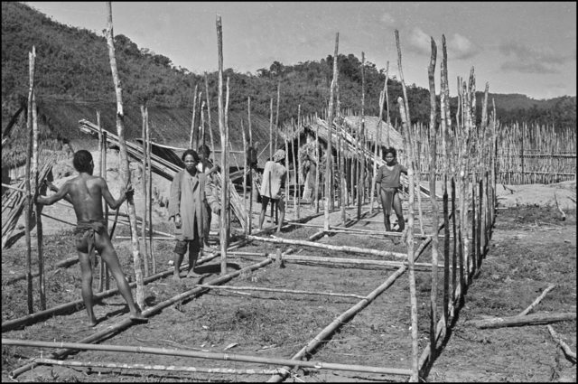 Vietnam War timeline | Timetoast timelines