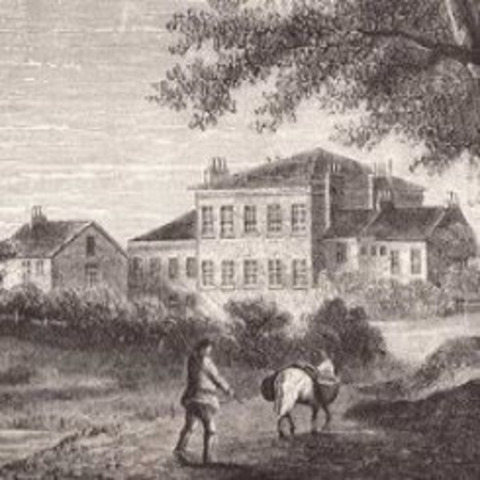 Museum of Mental Illness and Institutions timeline | Timetoast timelines