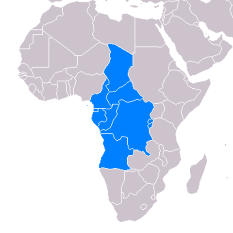 The Democratic Republic of the Congo timeline | Timetoast timelines