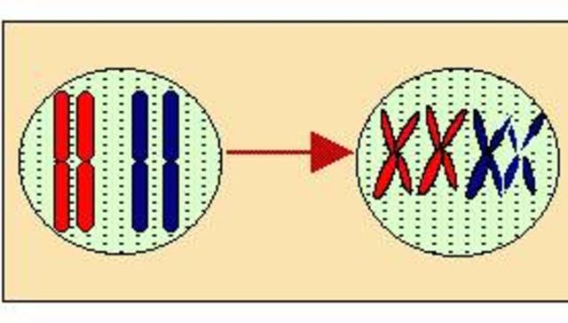 HISTORIA DEL DNA 666 timeline | Timetoast timelines
