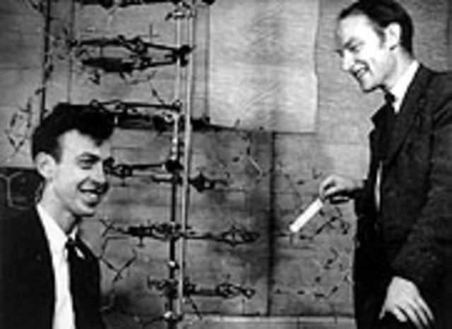 DE MENDEL A WATSON timeline | Timetoast timelines