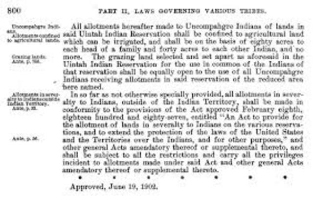 TLO Timeline | Timetoast timelines