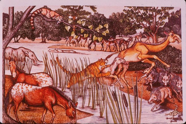 Cenozoic ERA timeline | Timetoast timelines