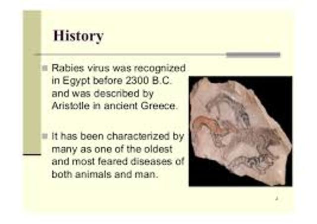 Lizzie Edwards-rabies timeline | Timetoast timelines